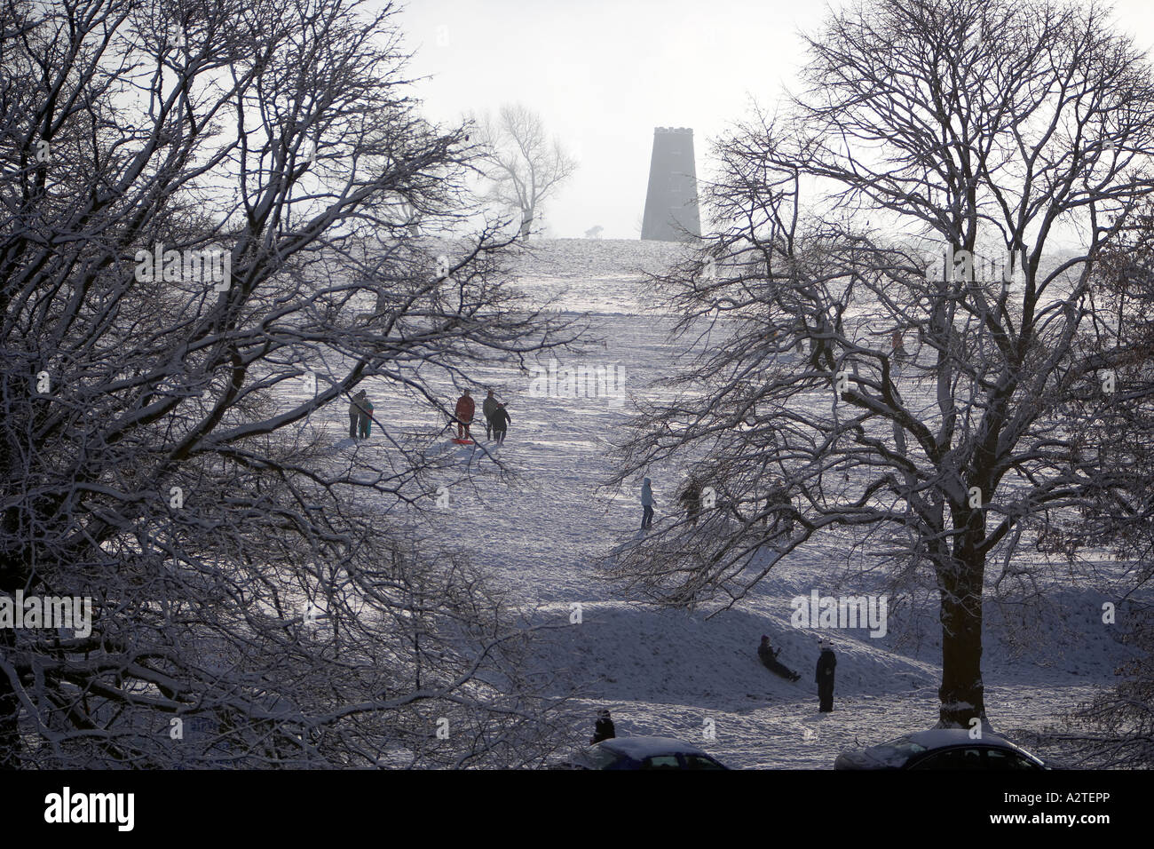 Children and families sledging on the Beverley Westwood Common near ...
