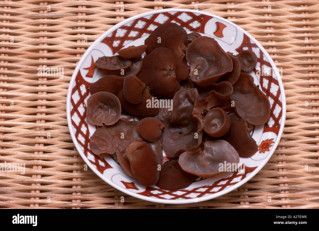 jelly ear, Jew's ear fungus, Judas's ear fungus (Auricularia auricula ...