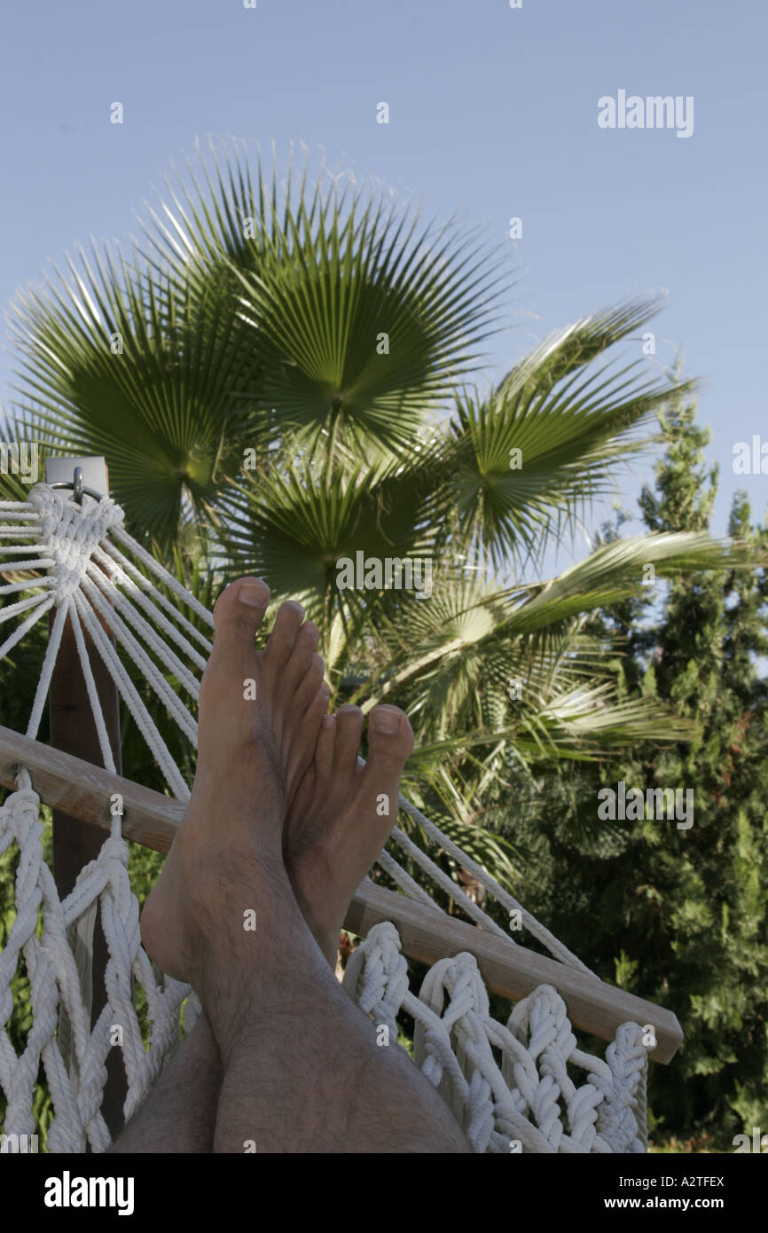 California fan palm (Washingtonia filifera), crossed legs in hammock ...