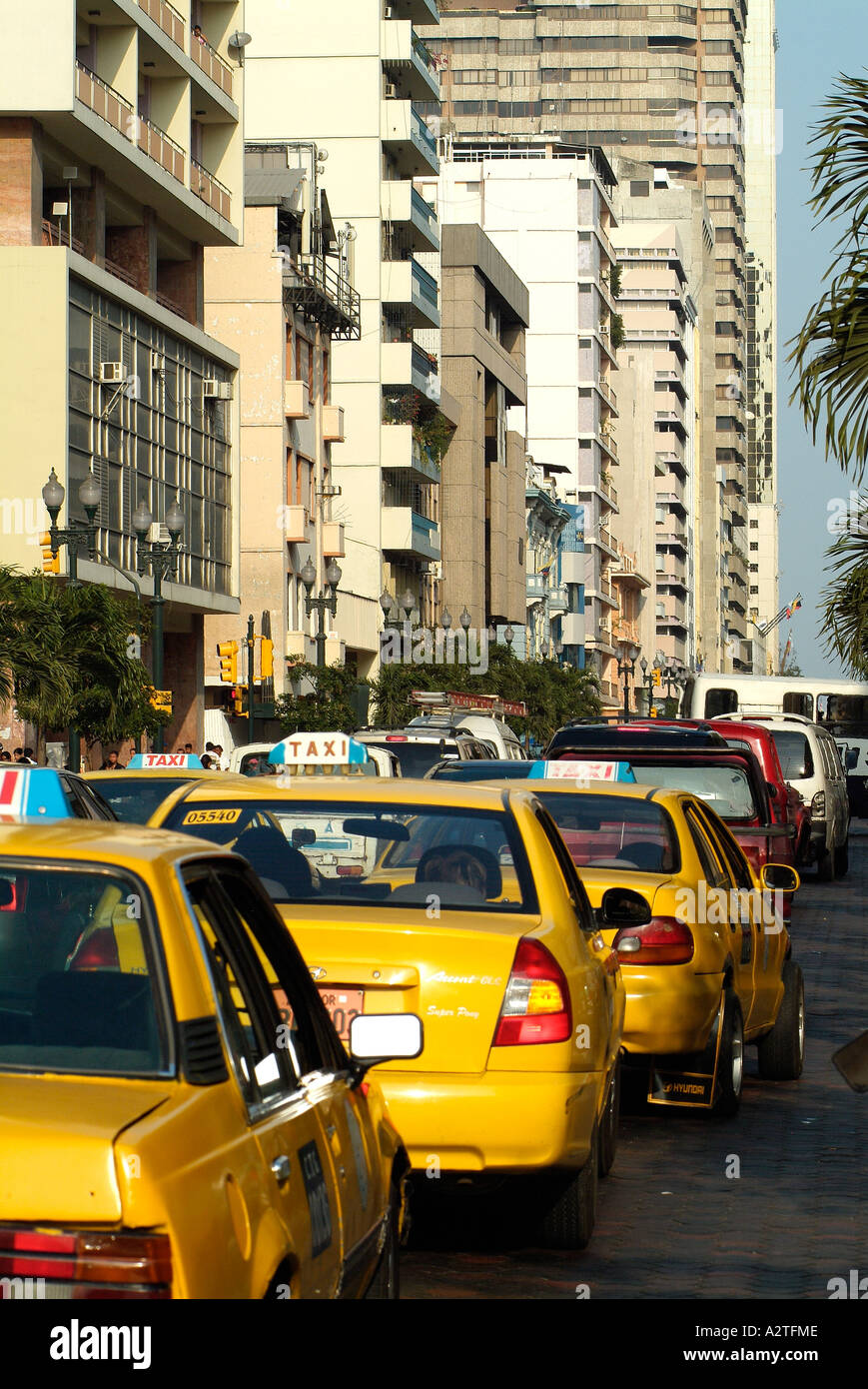 Traffic jam in the downtown of Guayaquil, Ecuador Stock Photo - Alamy