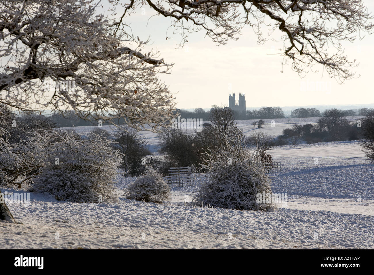 Beverley Minaster seen from Westwood Common carpeted in snow, Beverley ...