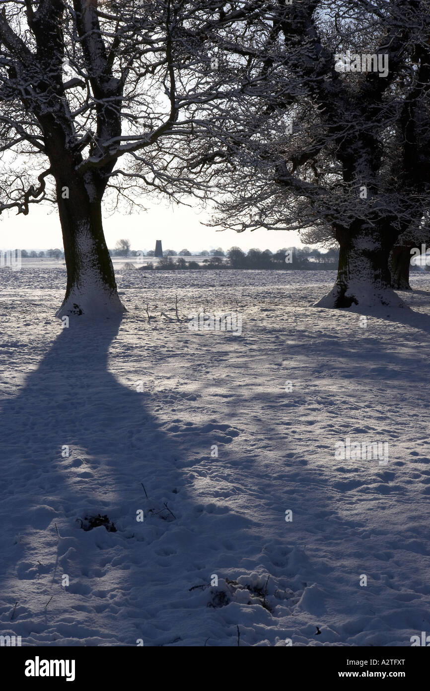 Beverley westwood east yorkshire snowy hi-res stock photography and ...