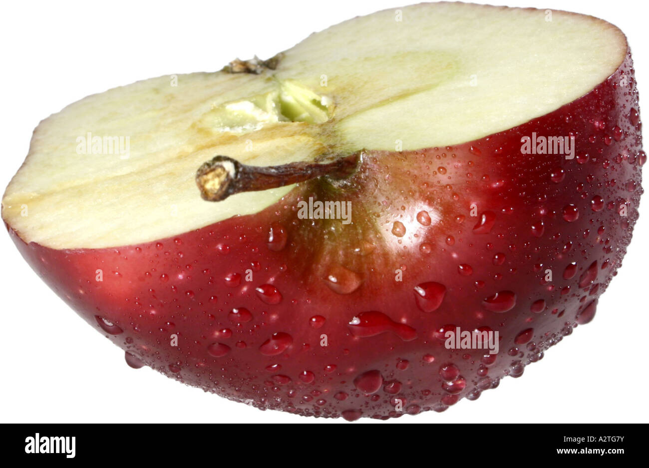 Longitudinal cross section of angiosperm hi-res stock photography and ...