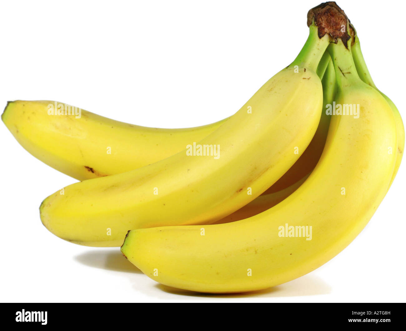 Bananas musa paradisiaca family musaceae hi-res stock photography and ...