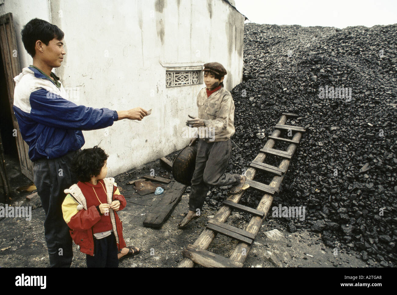 Coal families hi-res stock photography and images - Alamy