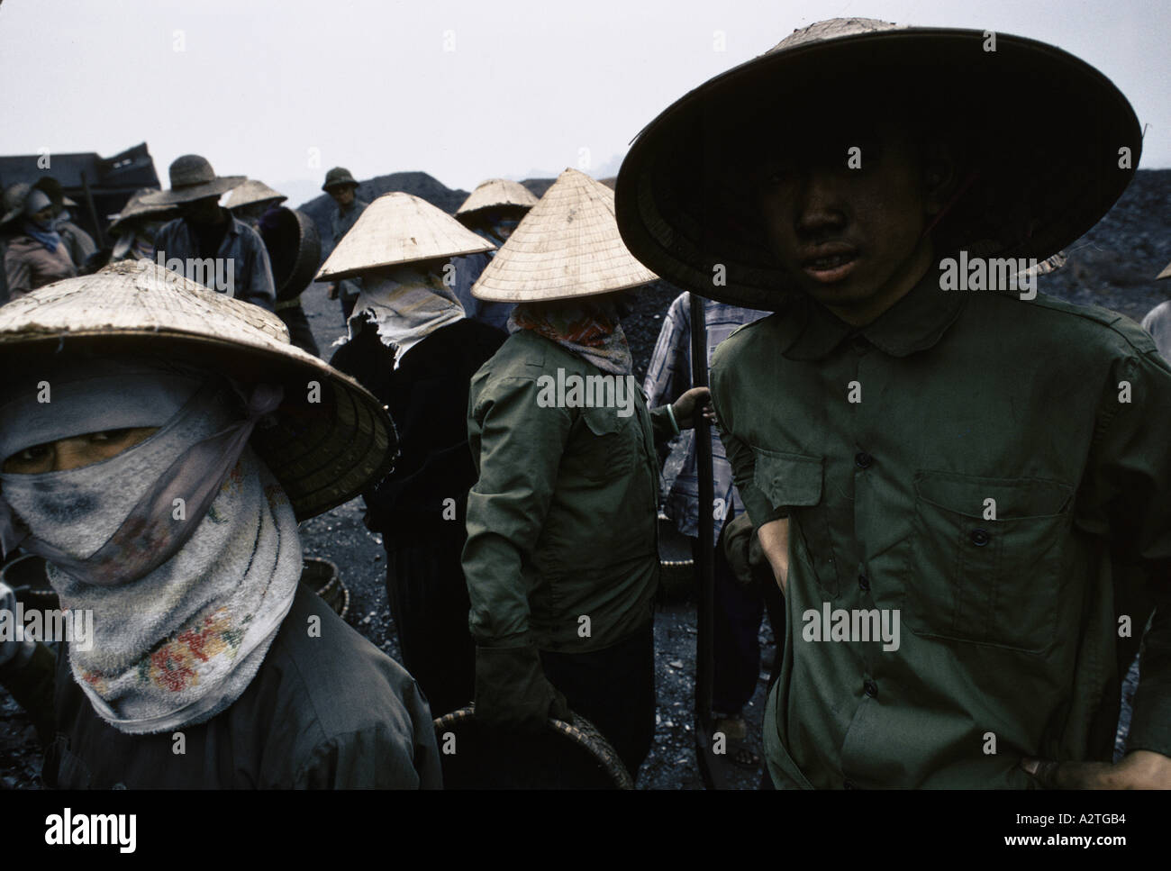 black gold of vietnam cam pha in the north sorting coal anthracite from ...