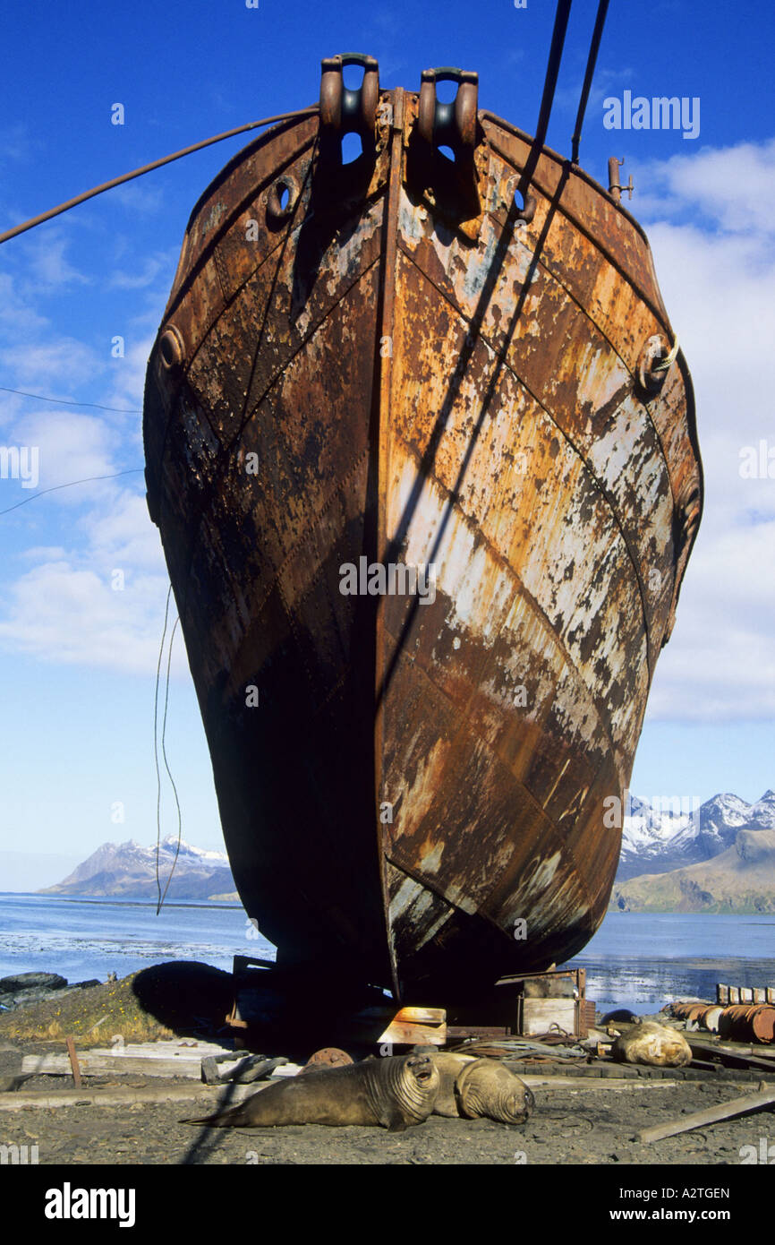 rusting shipwreck at formerly whale base, Antarctica, South Georgia ...