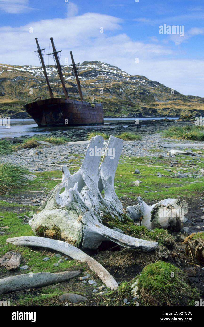 Old Shipwreck In A Bay High Resolution Stock Photography and Images - Alamy
