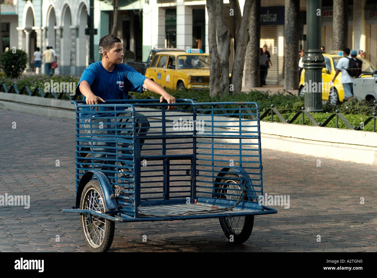 man riding and pushing an empty cart Stock Photo - Alamy