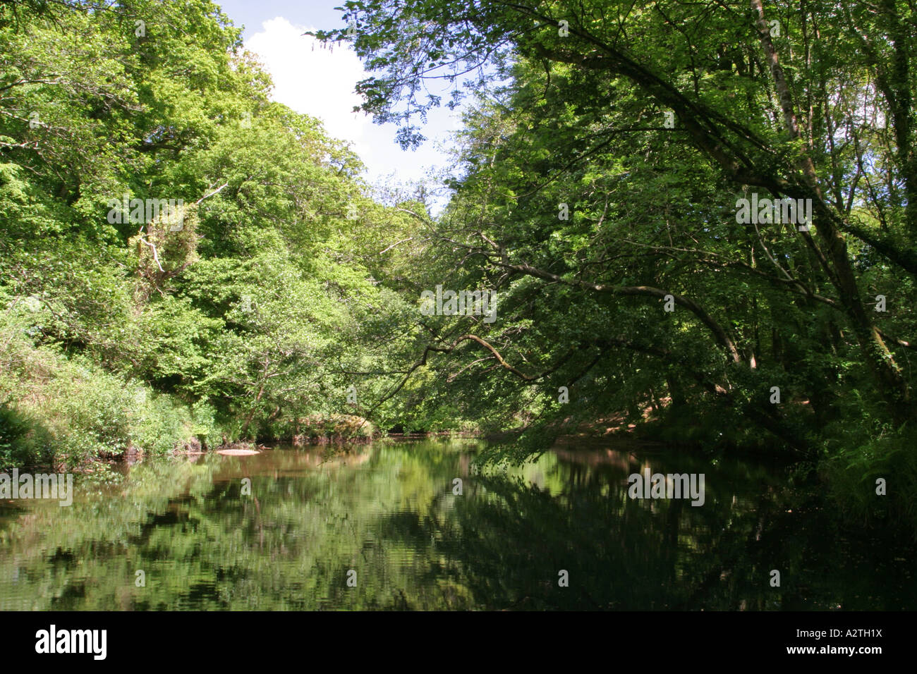 River Camel, Dunmere, Cornwall Stock Photo - Alamy