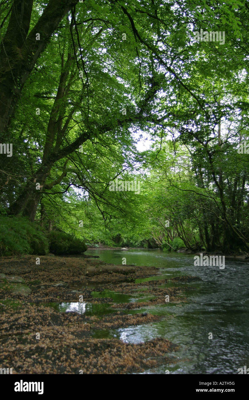 River Camel, Dunmere, Cornwall Stock Photo - Alamy