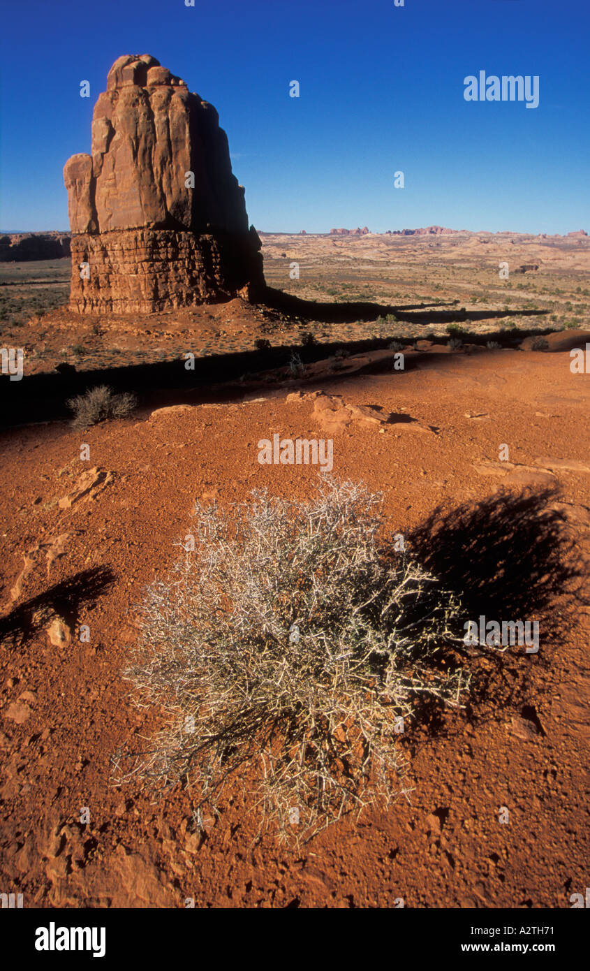 The Organ a fin at Courthouse Towers Park avenue Viewpoint Arches ...