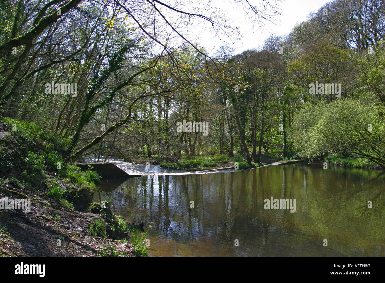 River Camel, Dunmere, Cornwall Stock Photo - Alamy