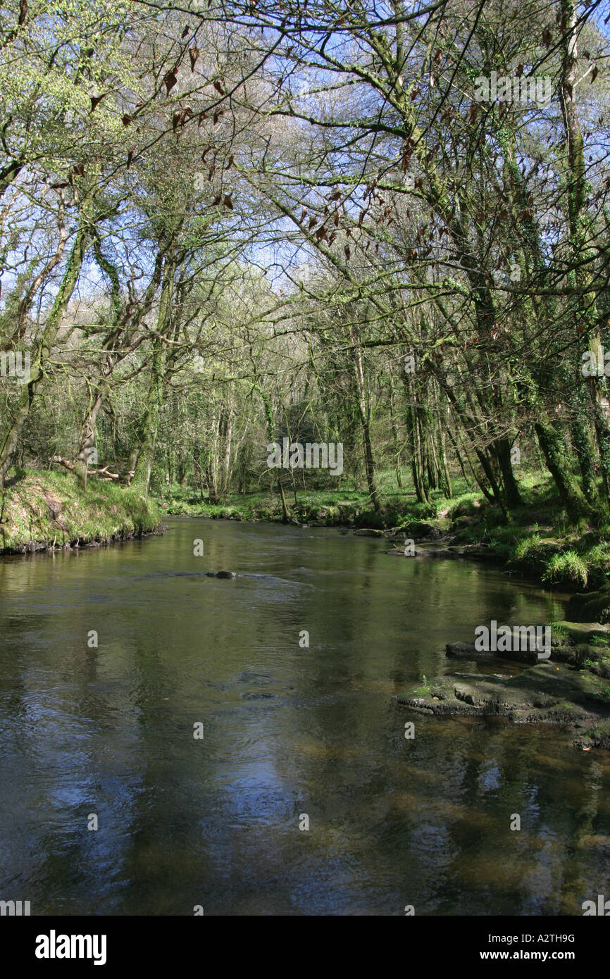 River Camel, Dunmere, Cornwall Stock Photo - Alamy