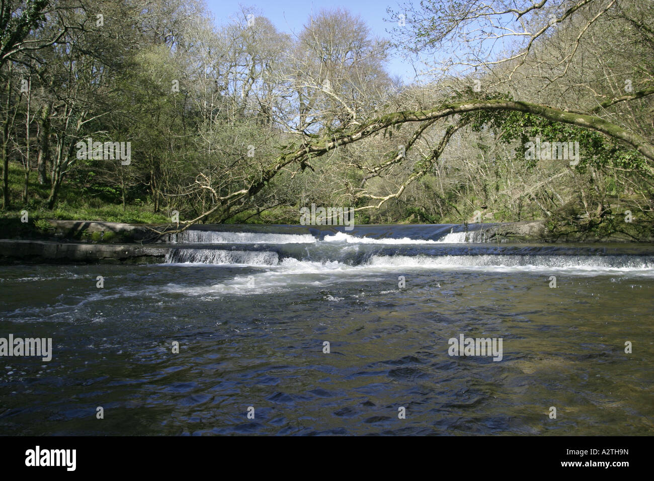 River Camel, Dunmere, Cornwall Stock Photo - Alamy