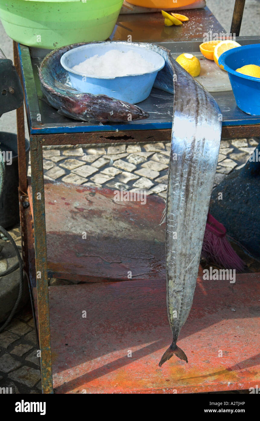 Silver fish, Ferragudo Stock Photo - Alamy