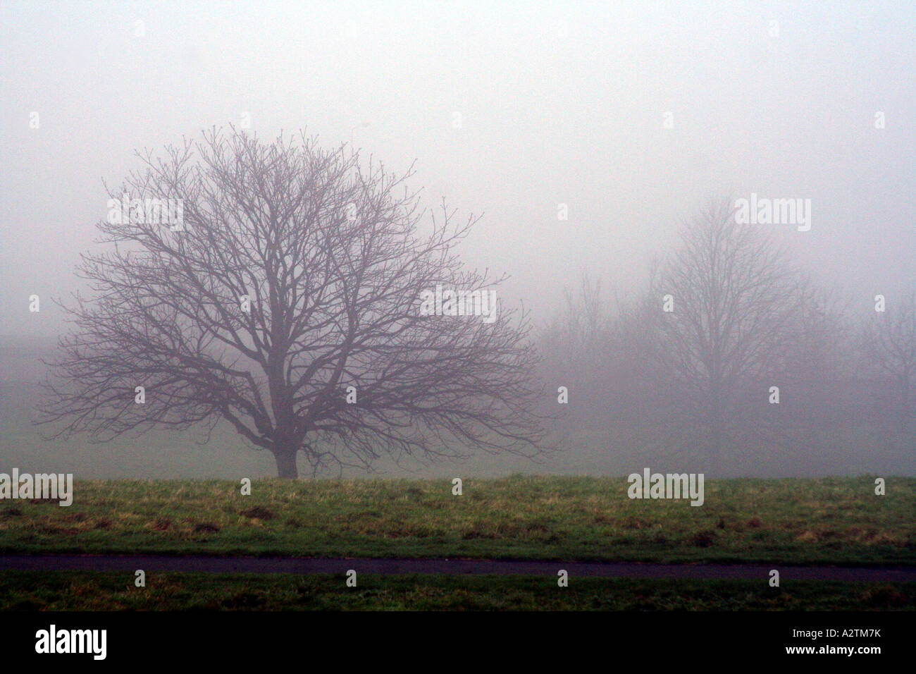 Atmospheric Landscape on a Misty Day Stock Photo - Alamy