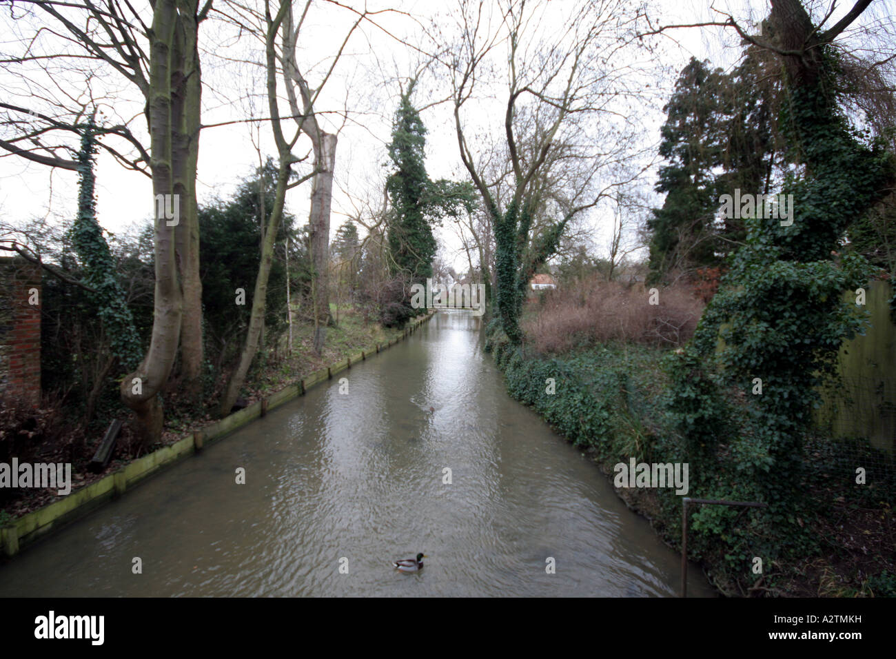 Linton cambridge hi-res stock photography and images - Alamy