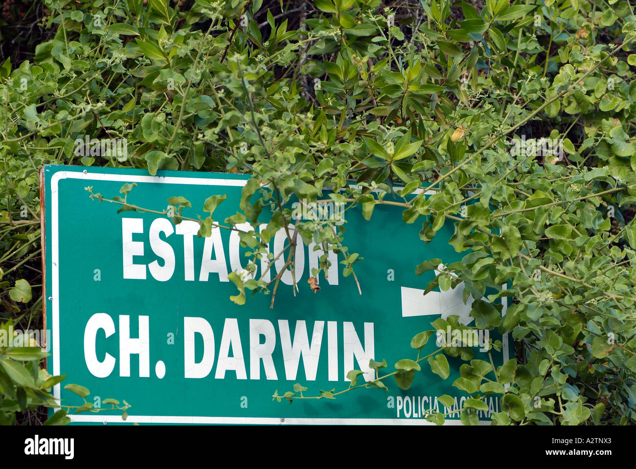 The Charles Darwin station in the Galapagos Archipelago Stock Photo - Alamy