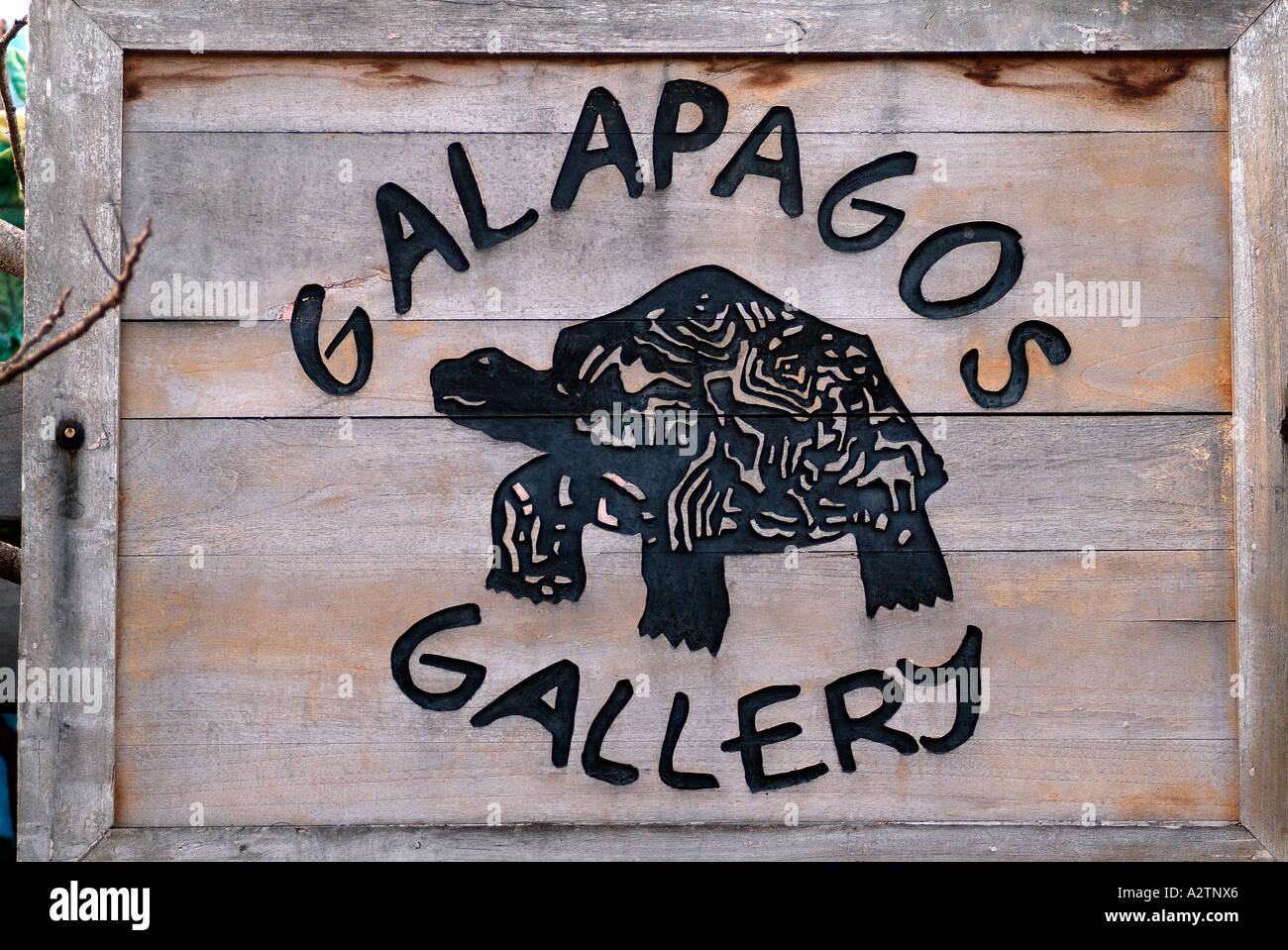 The Charles Darwin station in the Galapagos Archipelago Stock Photo - Alamy