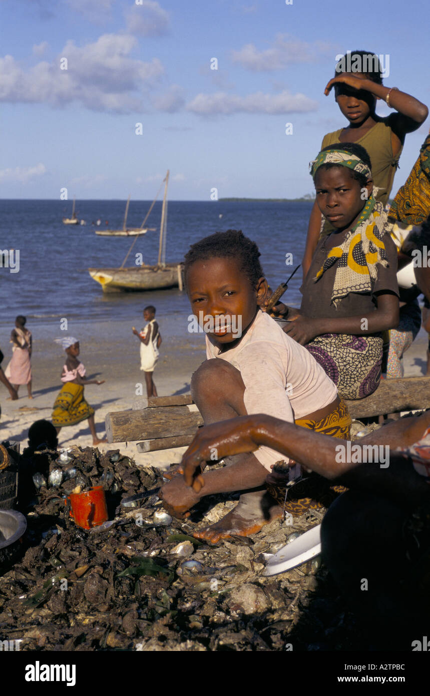 Sorting shells hi-res stock photography and images - Alamy
