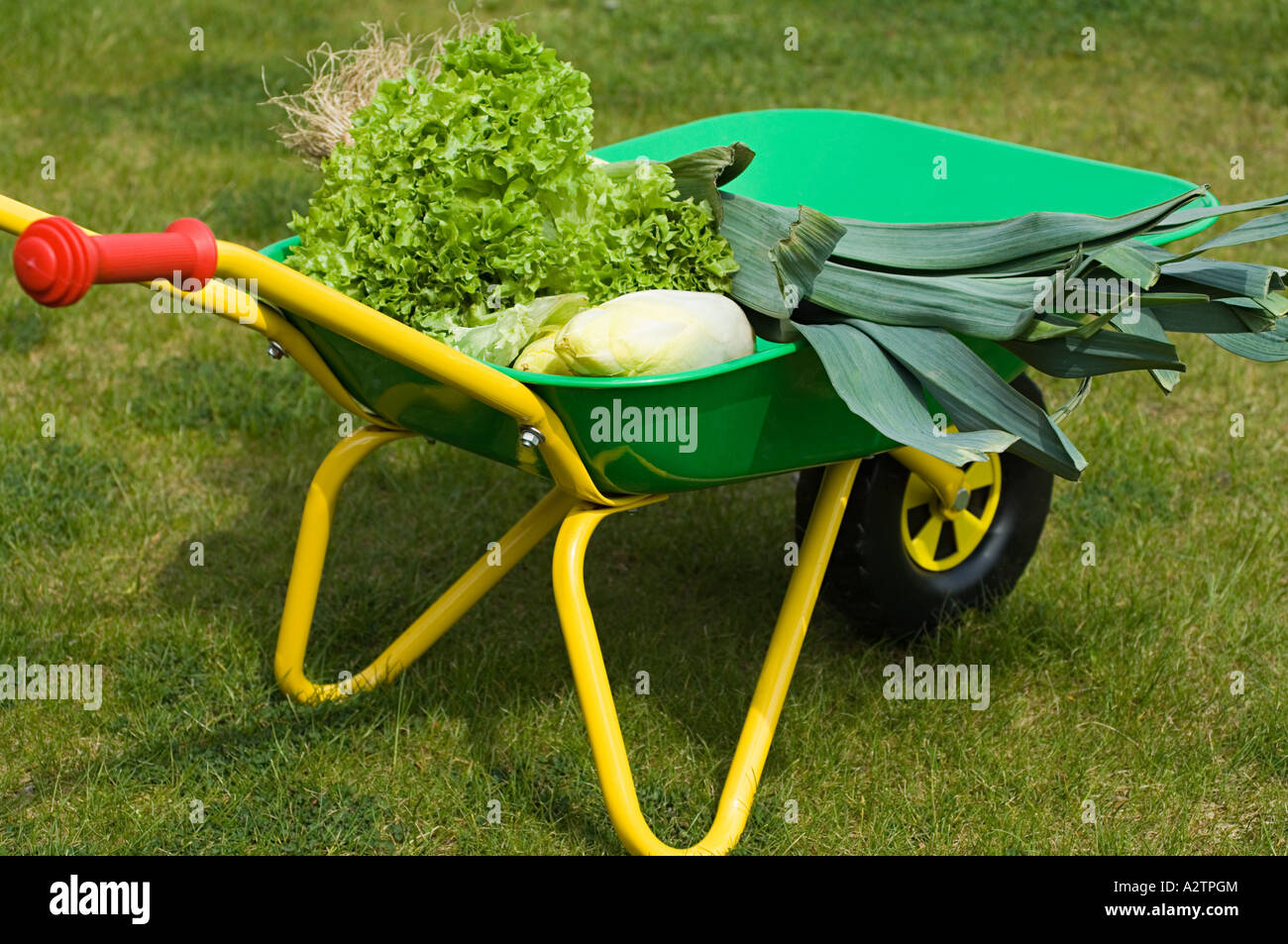 Vegetables in a wheelbarrow Stock Photo - Alamy