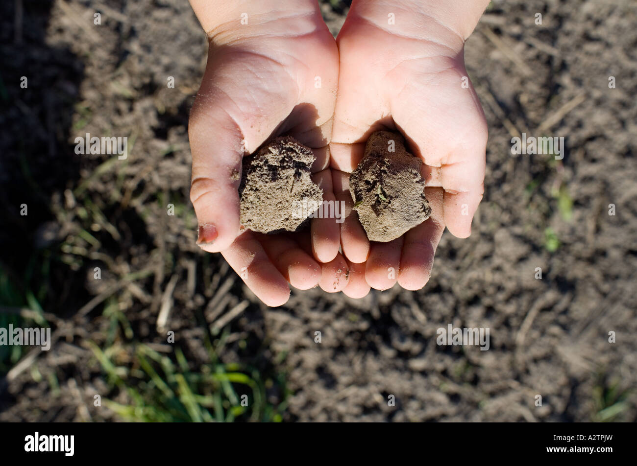 Child with handfuls of soil Stock Photo - Alamy