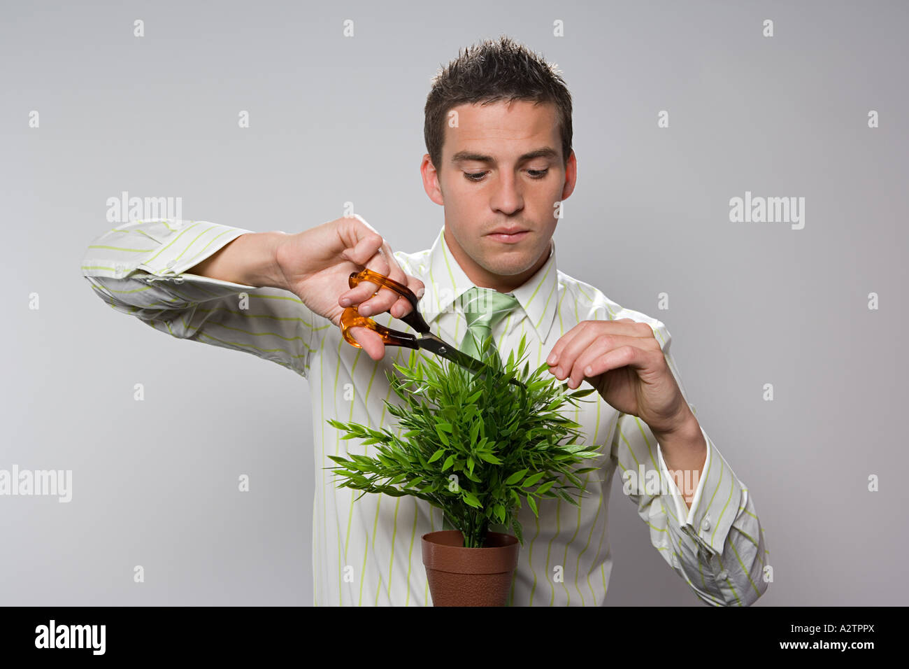 Caucasian men pruning cutting hi-res stock photography and images - Alamy