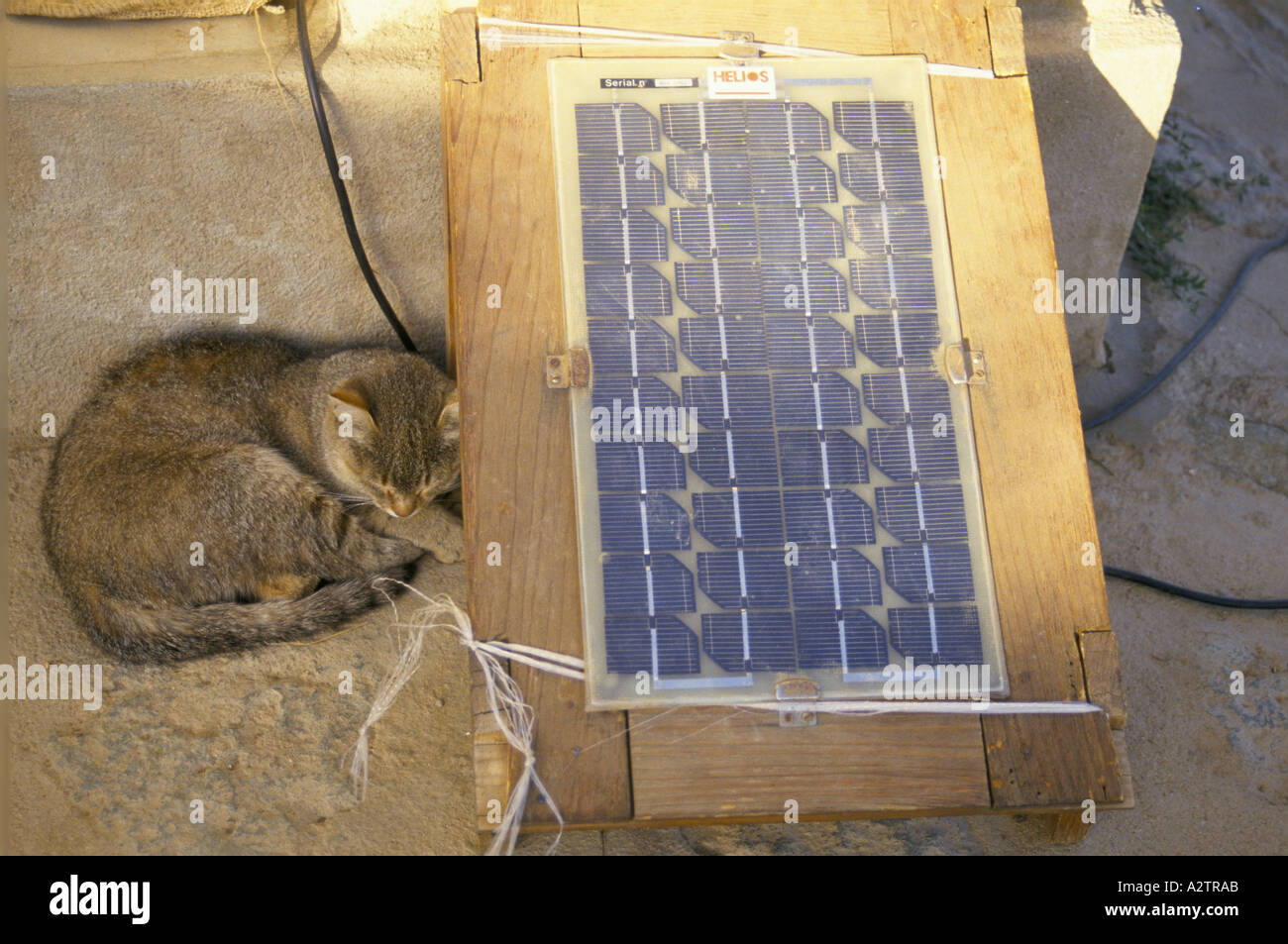 sleeping cat with solar panels, Eritrea Stock Photo - Alamy