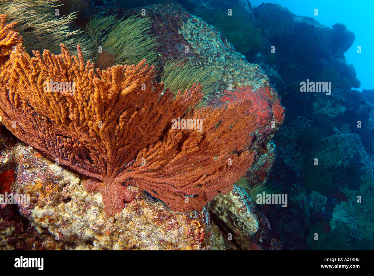 Gordon rocks volcano hi-res stock photography and images - Alamy