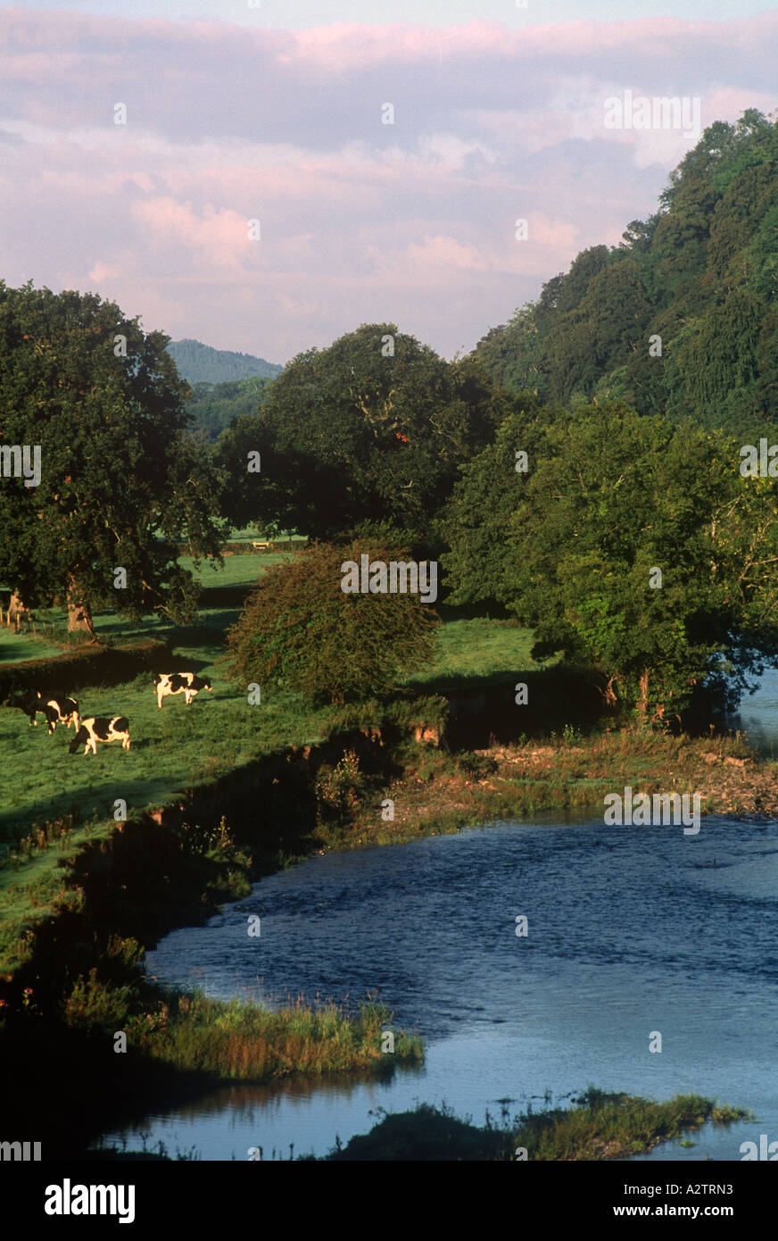 Llangadog hi-res stock photography and images - Alamy