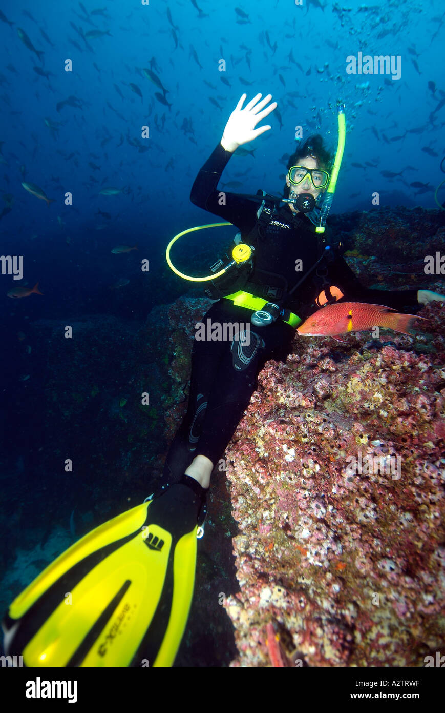 Diver waving hi-res stock photography and images - Alamy