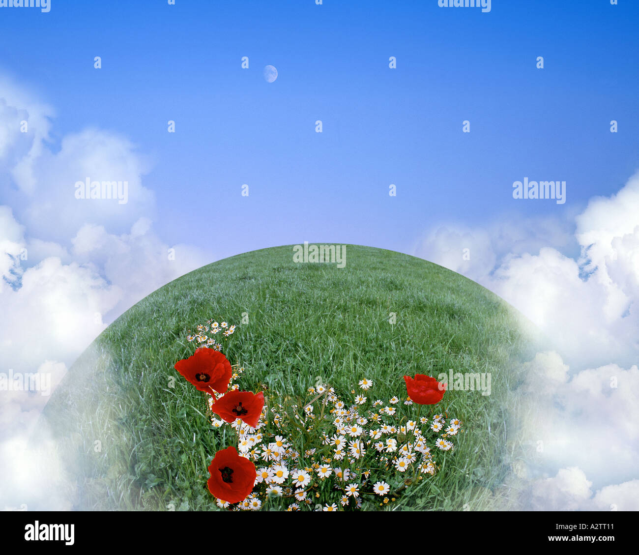 Global environmental change hi-res stock photography and images - Alamy