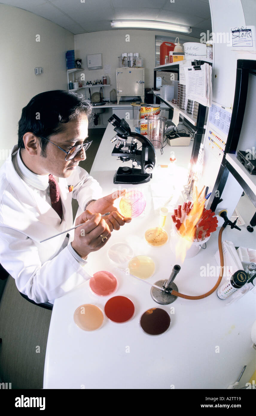 biochemist in laboratory Stock Photo - Alamy