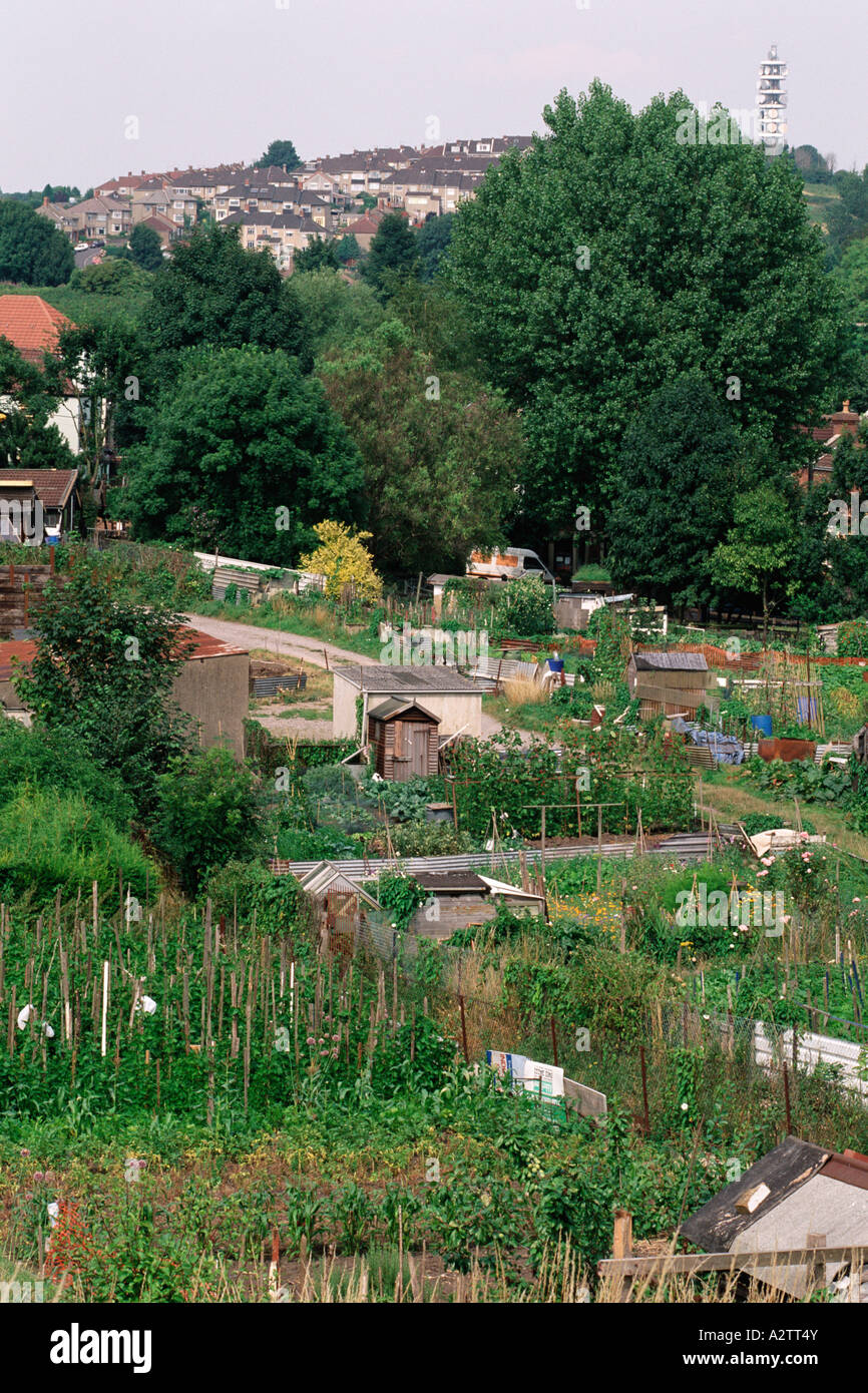 Allotments bristol hi-res stock photography and images - Alamy