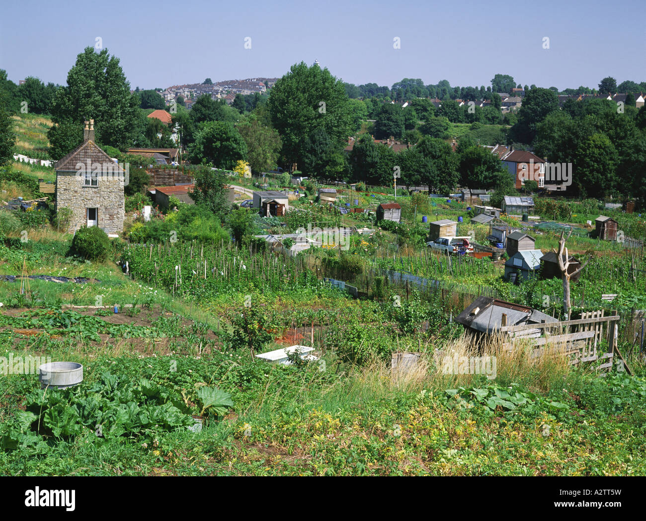 City allotment gardens, St.Werburghs, Bristol, UK Stock Photo - Alamy