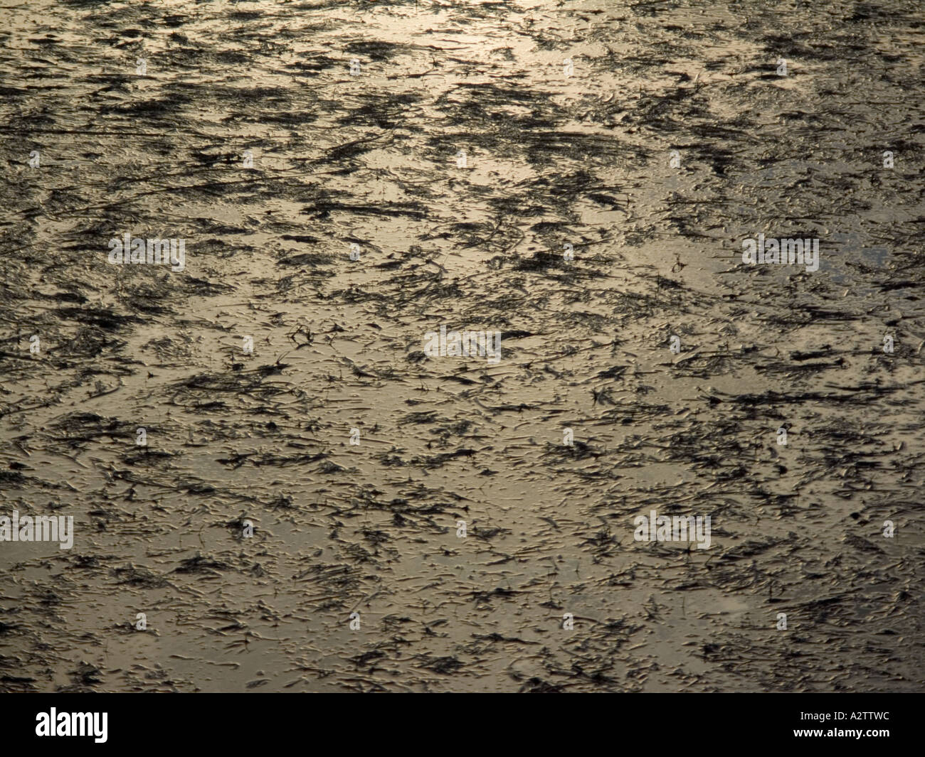 Crispy sea water texture Stock Photo - Alamy