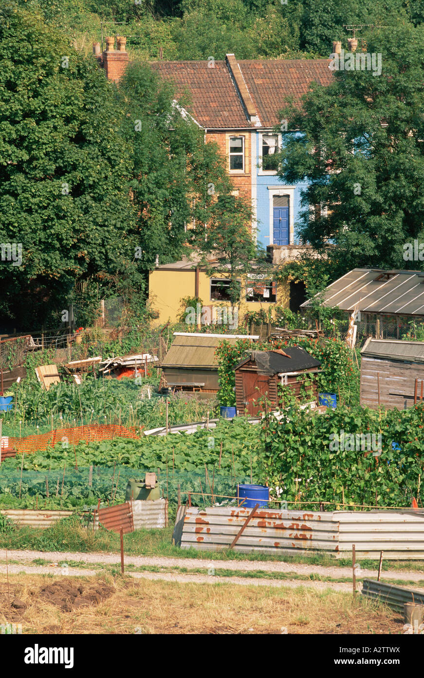 Allotments bristol hi-res stock photography and images - Alamy