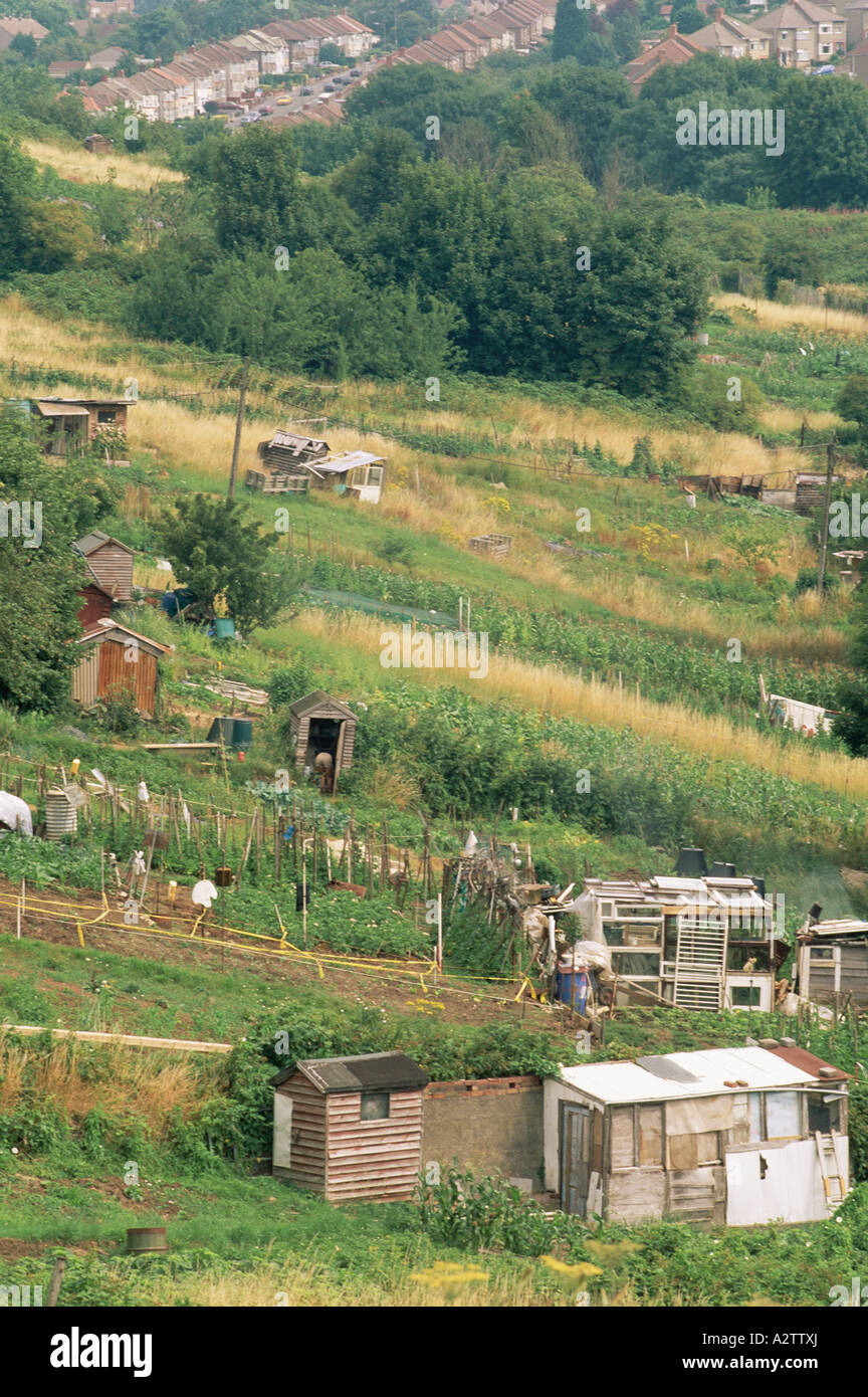 Allotments bristol hi-res stock photography and images - Alamy