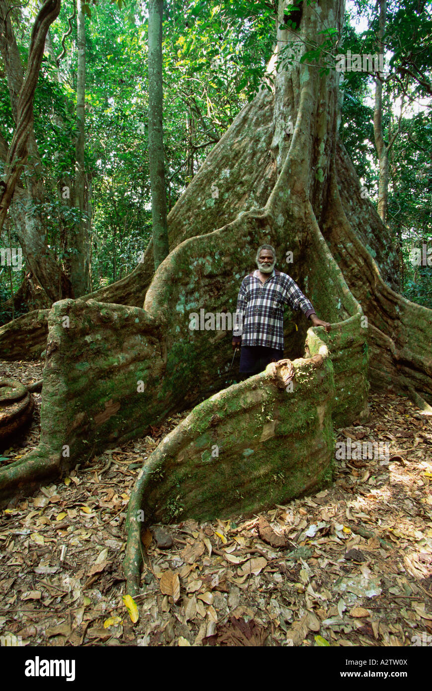 People With Buttress Roots Beautiful Buttress Roots