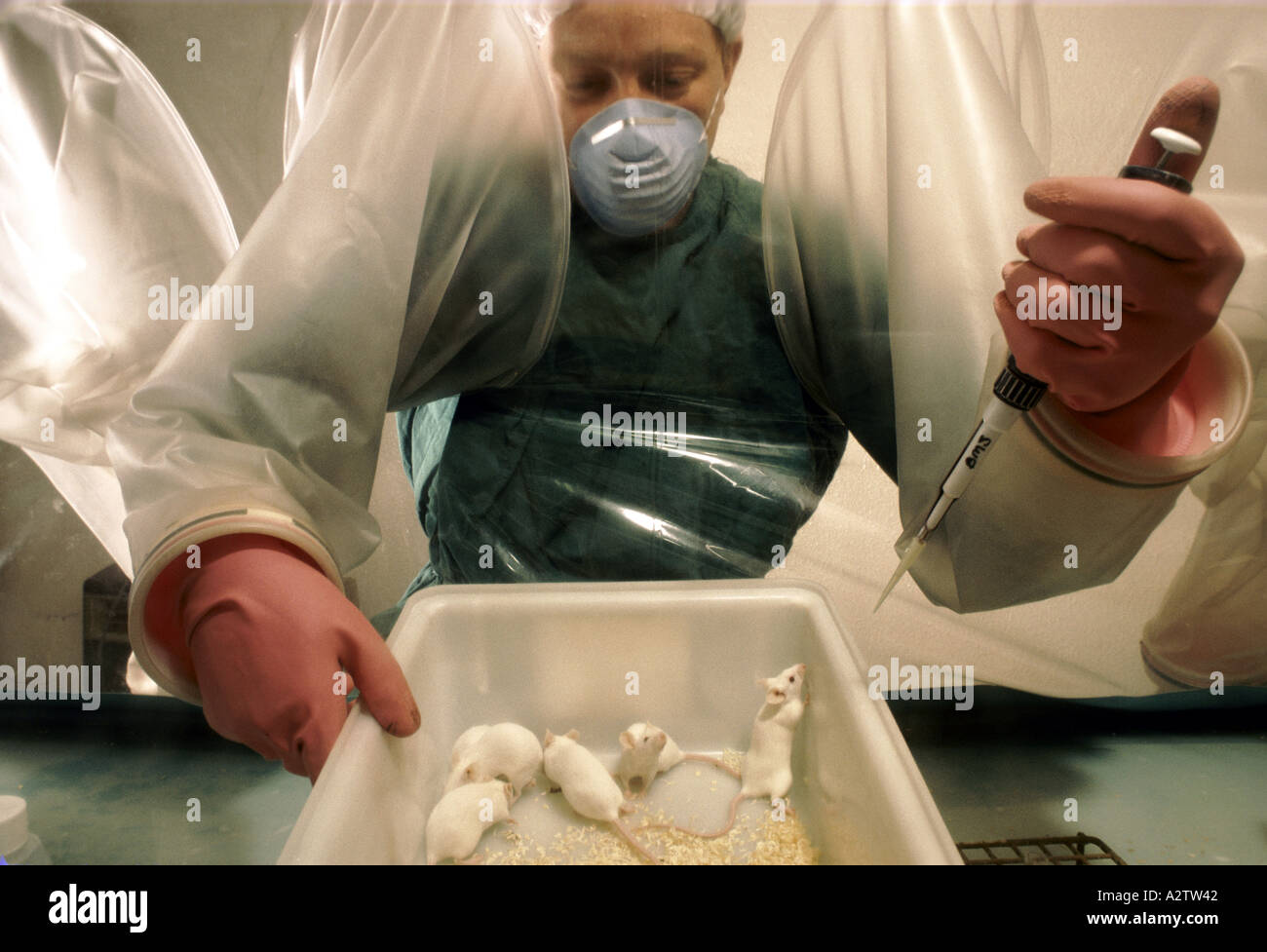 medical research on animals isolation chamber mice 1991 Stock Photo - Alamy