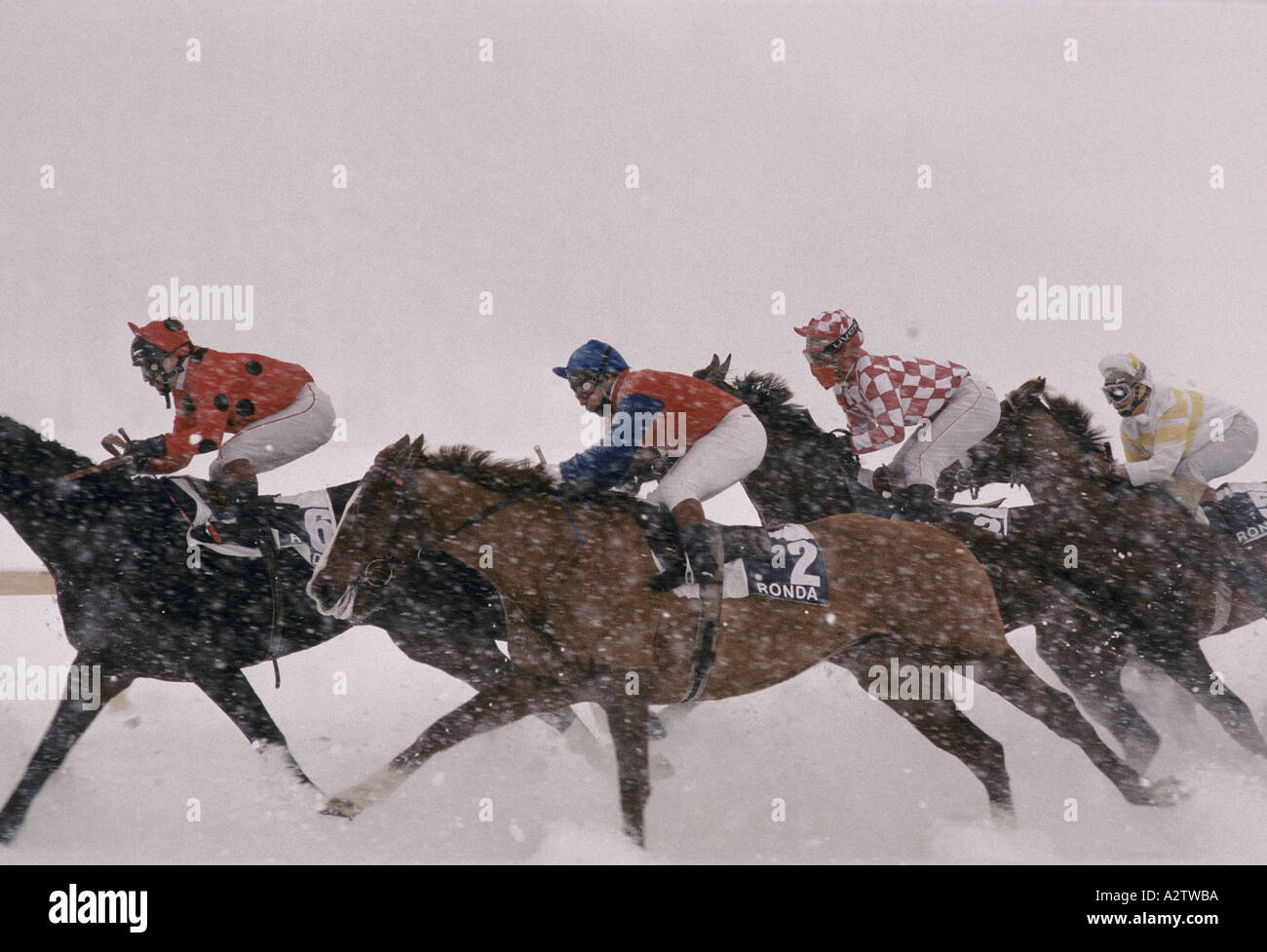 horse racing in snow st moritz 1991 Stock Photo - Alamy