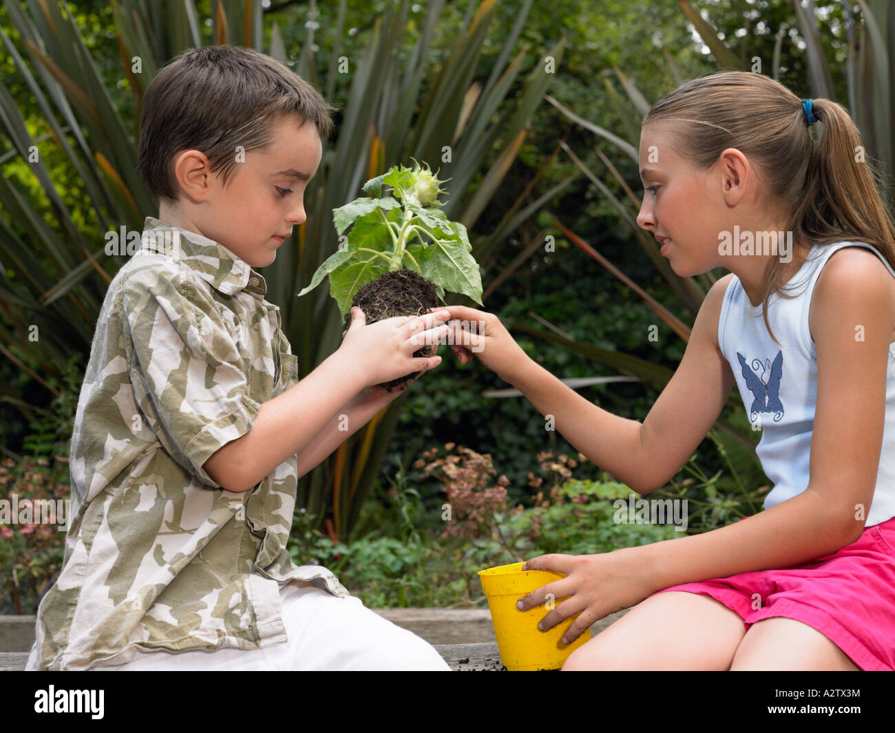 Two children gardening Stock Photo - Alamy