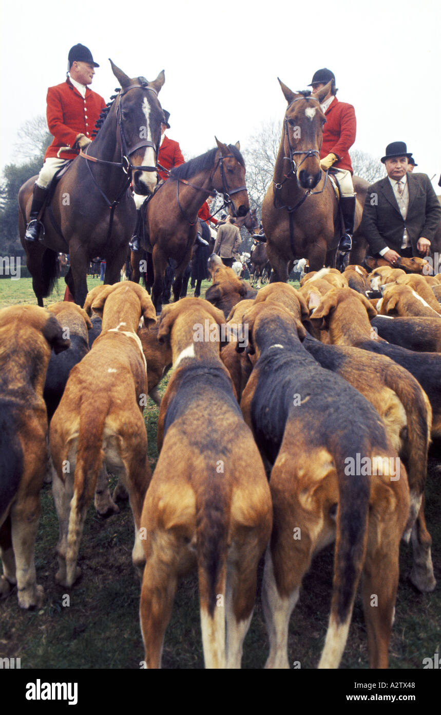Belvoir hunt hi-res stock photography and images - Alamy