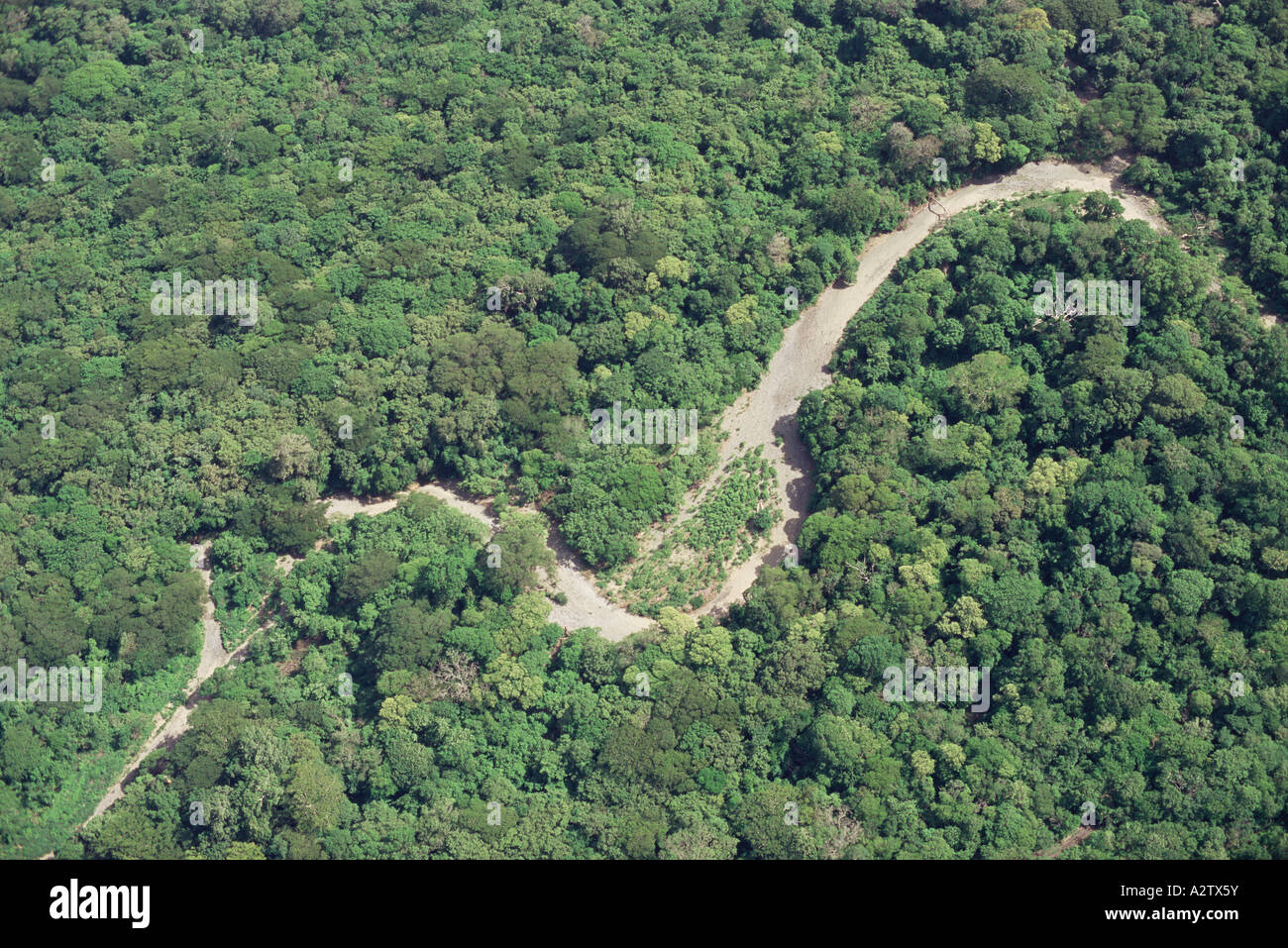 Aerial view of Pacific coast tropical dry forest in dry season and ...