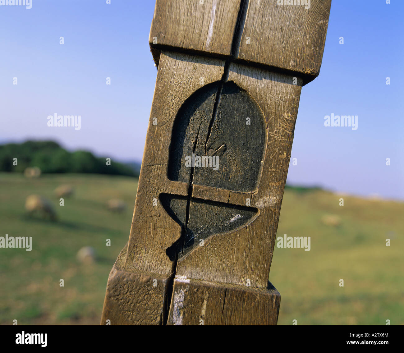 The Acorn symbol of the National Trails of England Stock Photo - Alamy