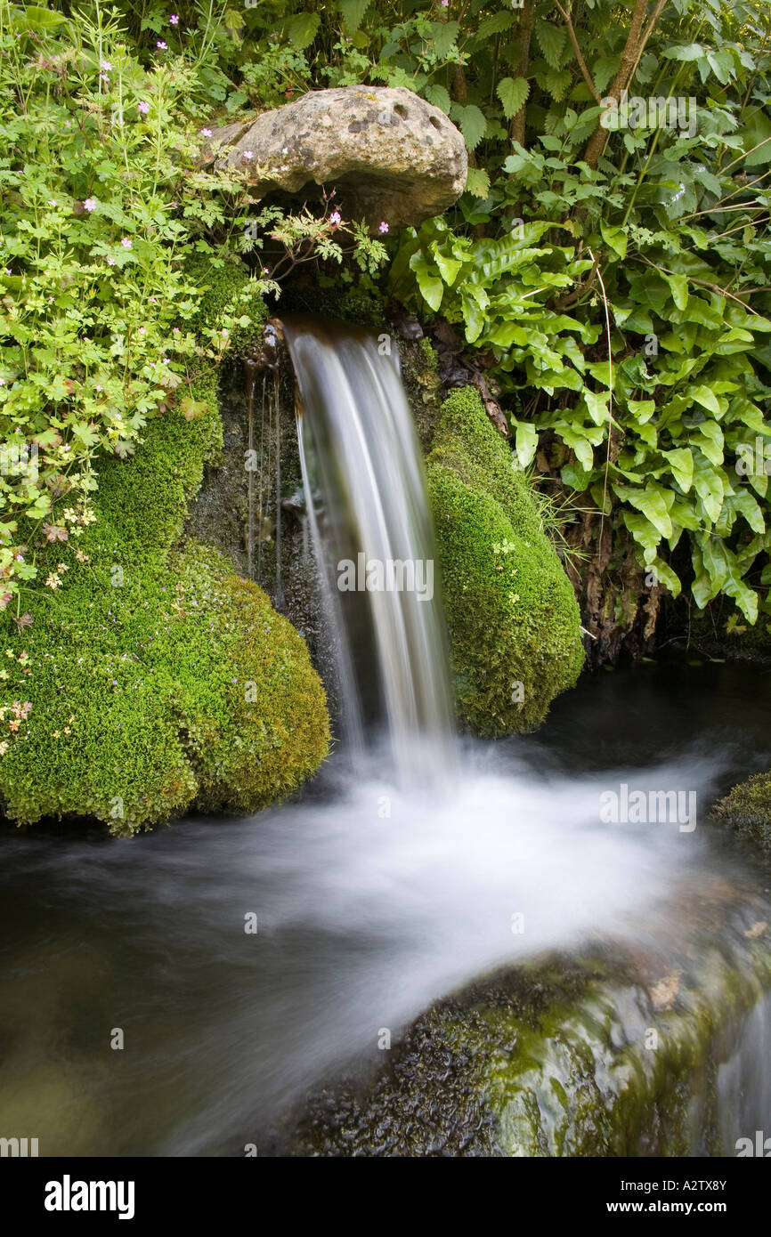Crocodile head spring at Compton Abdale, The Cotswolds Stock Photo - Alamy