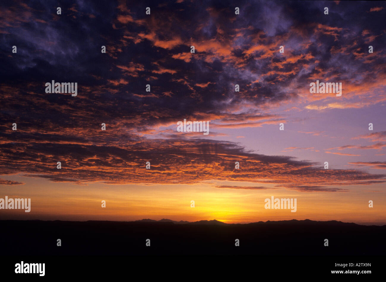 Tropical sunset sky pink costa rica hi-res stock photography and images ...