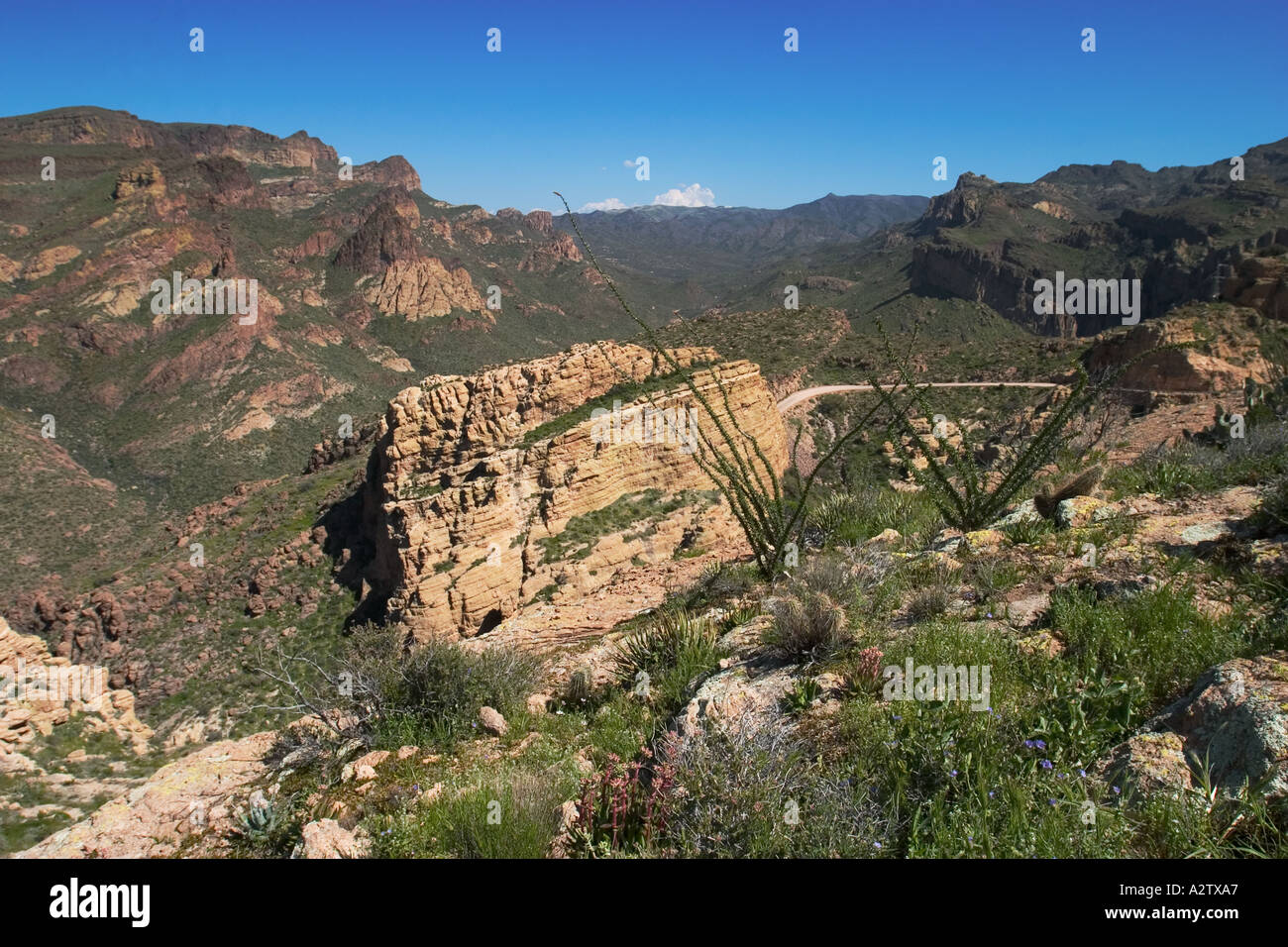 Creek apache national forest arizona hi-res stock photography and ...