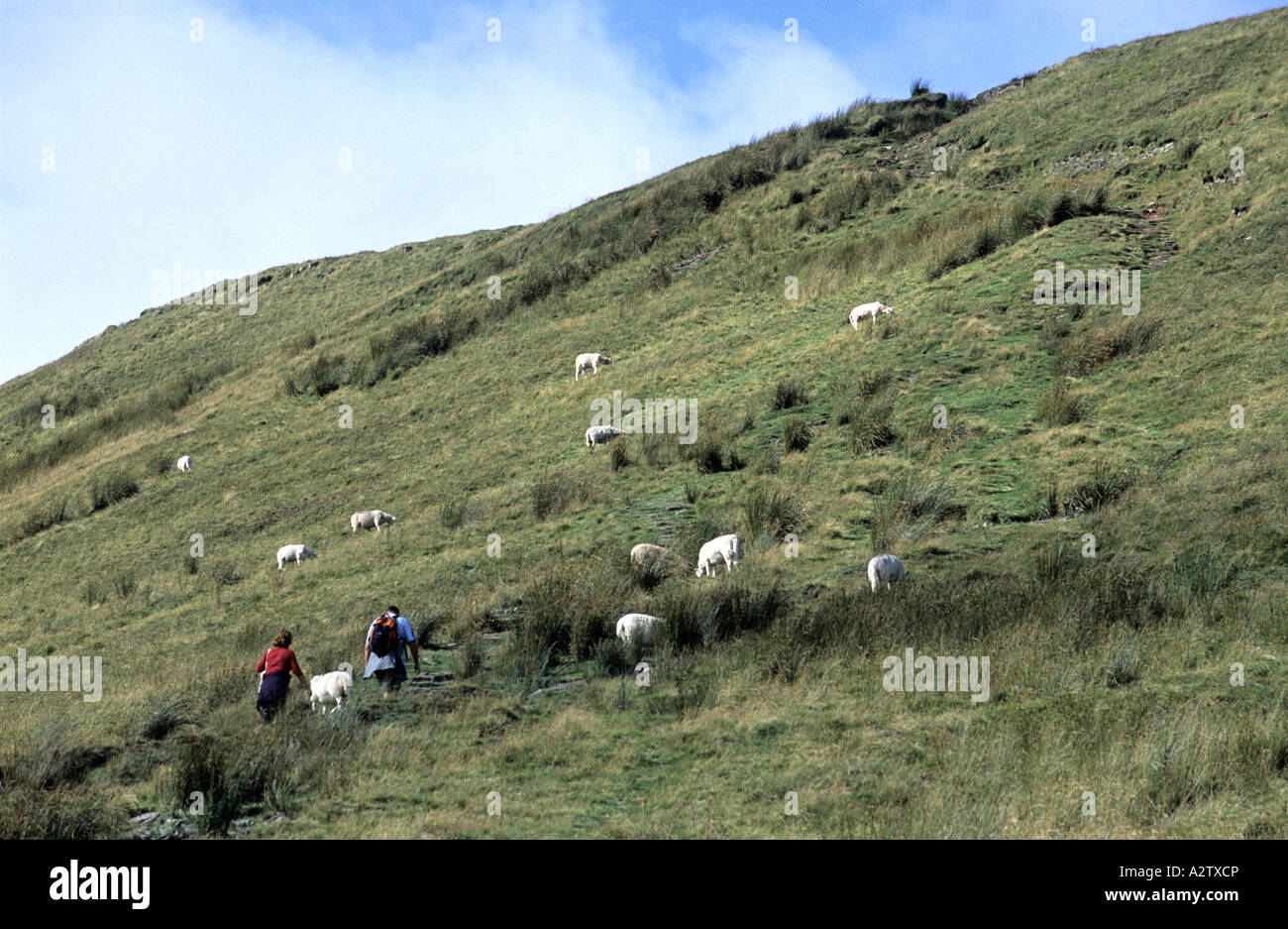 Walkers on the Beacons Way, Brecon Beacons National Park, Powys, Wales ...